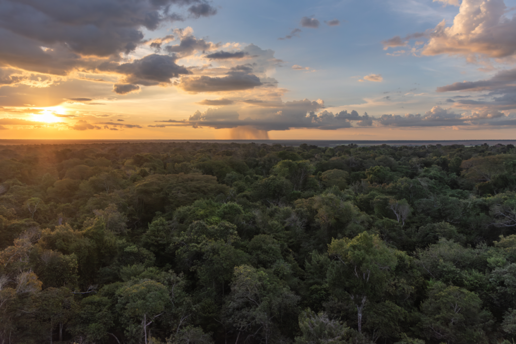 Mapas climáticos - Probable Futures